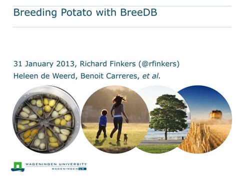 Breeding Potato With Breedb Pptx