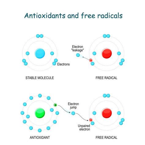Free Radicals Illustrations Royalty Free Vector Graphics And Clip Art