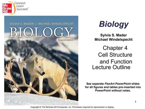04 Lecture Ppt Cell Structure And Function Ppt