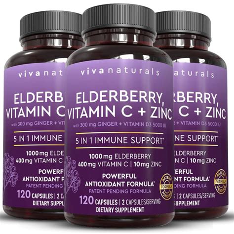 Elderberry Vitamin C Zinc At Ginger Immune Support Supplement Lazada Ph