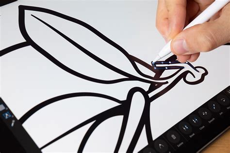 Procreate Vector At Collection Of Procreate Vector