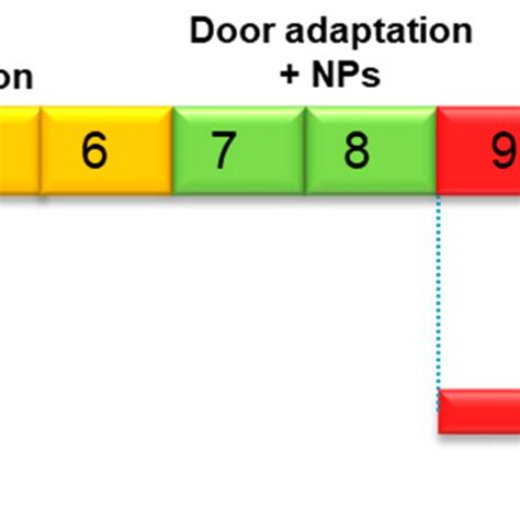 Mice Adaptation To Intellicages Timeline Free Exploration All Doors