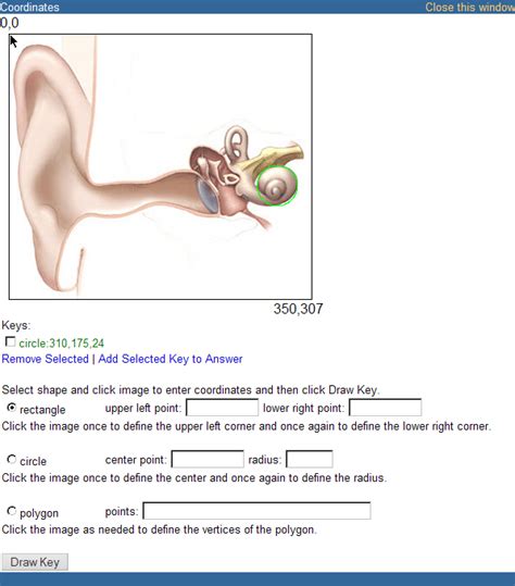 WebAssign Create Image Map Questions