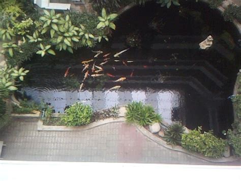 Fish Detection Object Detection Model By Test Fish Detection Object Detection Model By Test