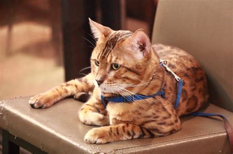 刷題筆記｜leetcode — Regular Expression Matching By 偏偏 偏偏的演算法筆記 Medium