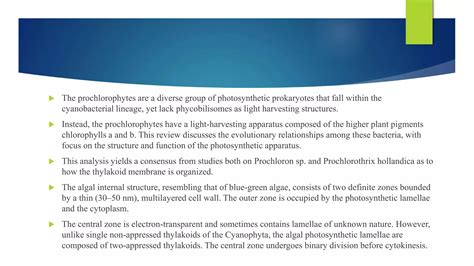 Introduction To Algae Ppt Ppt