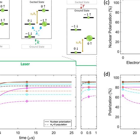 A A Diagram Showing The Population Of The Eigenstates Of S Z And I Z Download Scientific