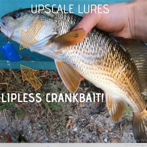 3d Printable Lipless Crankbait 2 Inch By Kenny Schultz