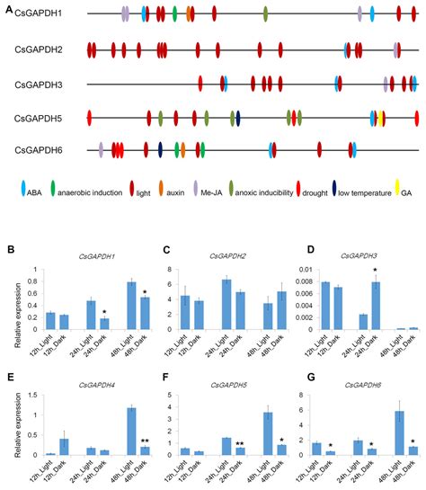 Genome Wide Identification Characterization Interaction Network And Expression Profile Of