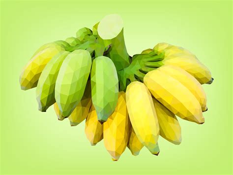 Cultivated Banana Half Ripe And Unripe 365034 Vector Art At Vecteezy