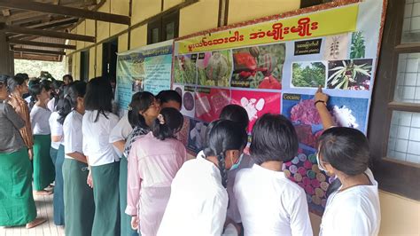 တောင်ငူ၌ အပြည်ပြည်ဆိုင်ရာမူးယစ်ဆေးဝါးအလွဲသုံးမှုနှင့် တရားမဝင်ရောင်းဝယ