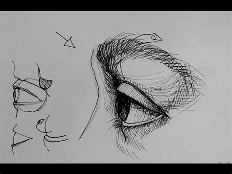 How To Draw A Realistic Eye Side View