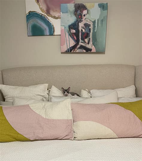 198 Best R Cornishrex Images On Pholder My Kitties 🐈‍⬛🌿