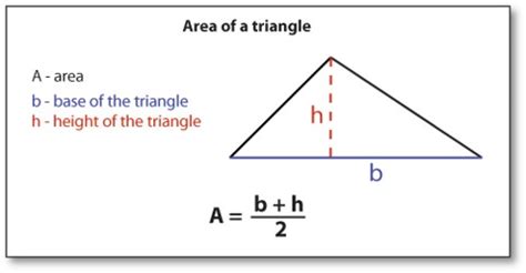 How To Calculate The Area Of A Triangle Assignment Point