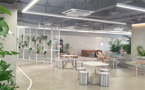 오피스가든ㅣ플랜테리어 사무실 식물 화분 관리 전문