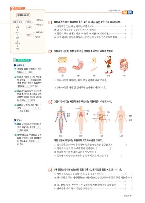 백신 과학 중등 2 2 2025년용 중등 백신 과학 학기 기본서 2025년 메가스터디 중등수학 연구회 알라딘