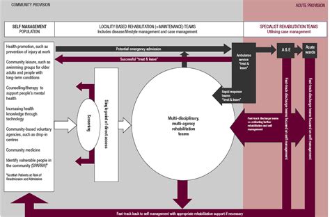 3 A New Approach To Rehabilitation Co Ordinated Integrated And Fit