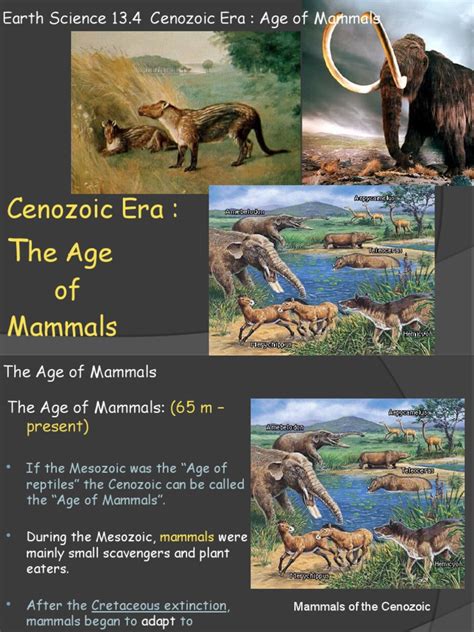 10 Facts About Cenozoic Era Cenozoic Era Map Eajucg