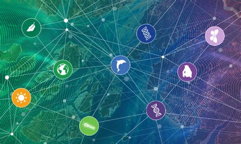 Embl Ebis Open Data Resources For Biodiversity And Climate Research Embl