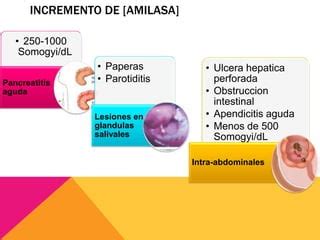 Amilasa Y Lipasa Pptx