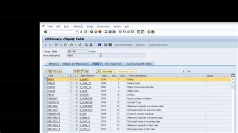 Sap Abap Tutorial Navigation And Database Concepts Day 2 Continued