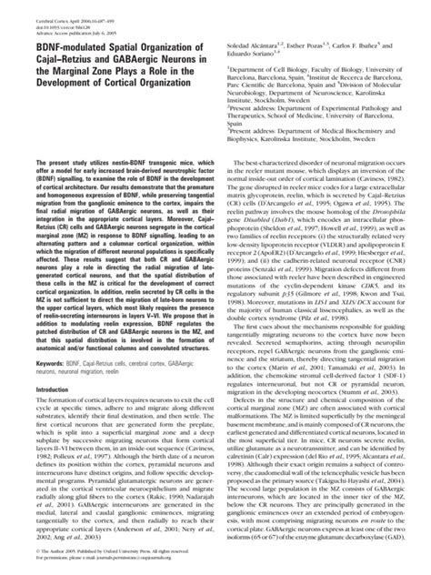 Alcantara Et Al Cerebral Cortex 2005 Bdnf Modulated Spatial
