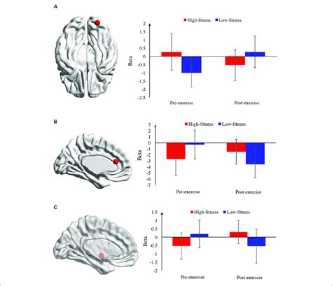 Localization And Activation Of Brain Regions During N Back Tasks A Download Scientific