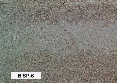 Mobile Sandblasting Nacesspc
