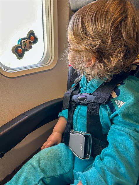 Should You Use A Cares Harness On Flights