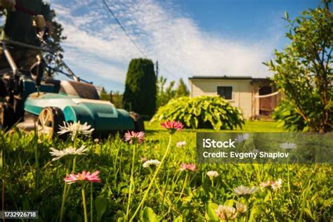 현대 정원이나 뒤뜰의 푸른 잔디에 잔디 발동기 잔디밭을 자르는 기계 원예 관리 도구 및 장비 잔디 다듬기 과정 0명에 대한 스톡 사진 및 기타 이미지 Istock