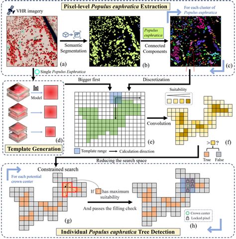 Researchers Propose Novel Method To Detect Individual Populus