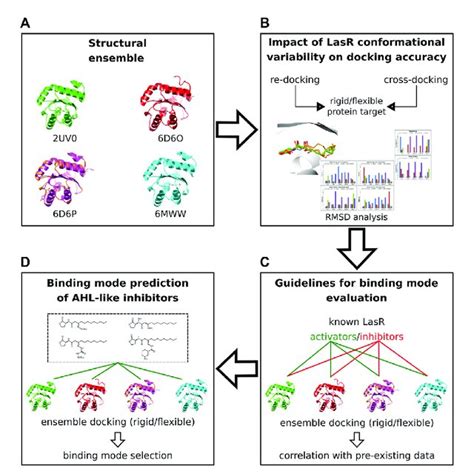 Molecular Docking Workflow A Five Crystal Structures Of Lasr In