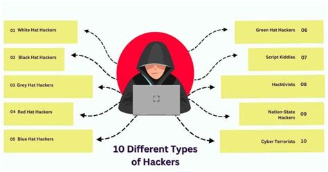 What Are The Different Types Of Hackers All Types Of Hackers Explained In Detail Cybersapiens