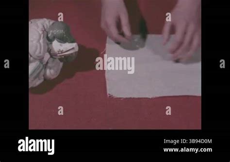 Usa 1967 Explore How The Cerebral Cortex Works In The Brain This