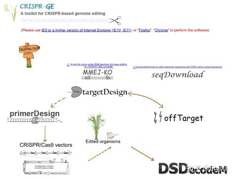 Crispr Cas9基因编辑全面详解！ 知乎
