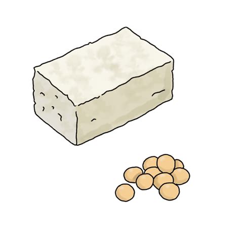 とうふ（豆腐）と大豆のイラスト｜フリー素材 Greenstock40