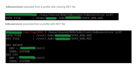 unable to find system key name in sap hana azure vm backup stack overflow