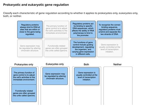 Solved Prokaryotic And Eukaryotic Gene Regulation Classify