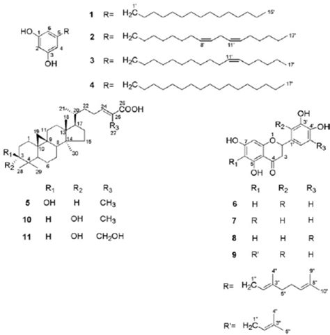 Components Identified In Indonesian Propolis Download Scientific Diagram