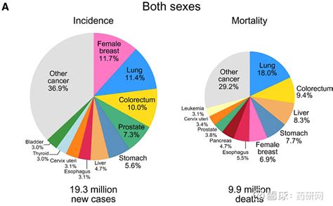 前列腺癌新靶点：steap1 2020年全球癌症数据统计中，前列腺癌（pca）的发病率占比第四，仅次于乳腺癌、肺癌和结直肠癌。根据去年国家癌症中心发布 雪球