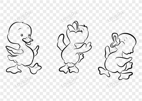 Gambar Bebek Hitam Putih 57 Koleksi Gambar