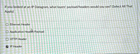 solved if you looked at an ip datagram what layers payload headers