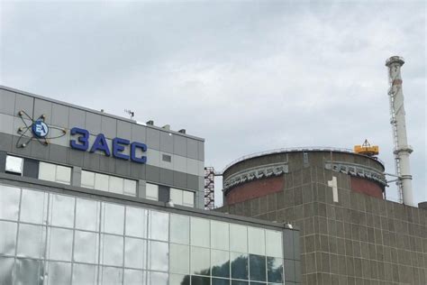 Слава Богу отличаем незабудку от дерьма с Peremogi — Livejournal