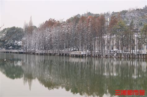 湖南省植物园28日起恢复开园 直播湖南 湖南在线 华声在线