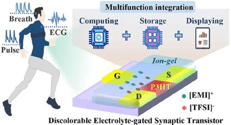 用于可穿戴健康监测的可变色柔性突触晶体管 Acs Nano X Mol