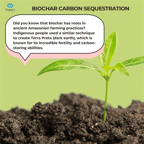 Biochar Carbon Sequestration A Sustainable Climate Solution