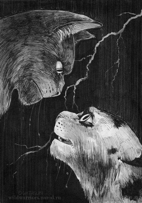 Mapleshades Vengeance Warriors Amino Warrior Cats Warrior Cats