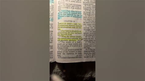 Proverbs Chapter 18 Youtube