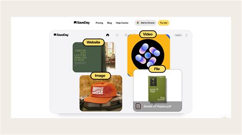How To Set Up A File Management System Step By Step Guide Saveday How To Set Up A File Management System Step By Step Guide Saveday