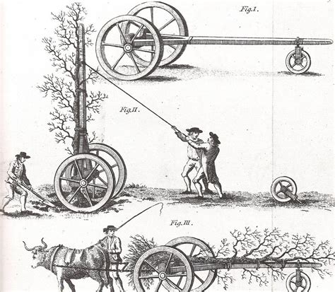 Transplant A Tree With A Giant Two Wheel Dolly 10 Steps With Pictures Instructables